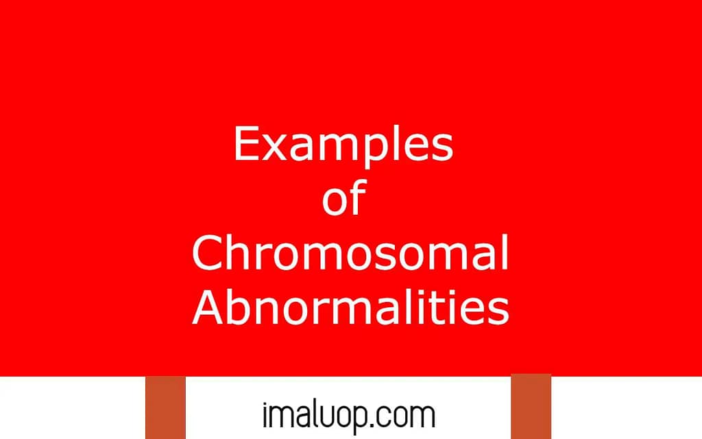 Examples of Chromosomal Abnormalities - Imaluop - IMALUOP