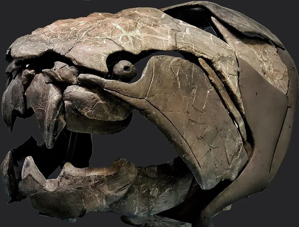 Characteristics Features of Placodermi - IMALUOP