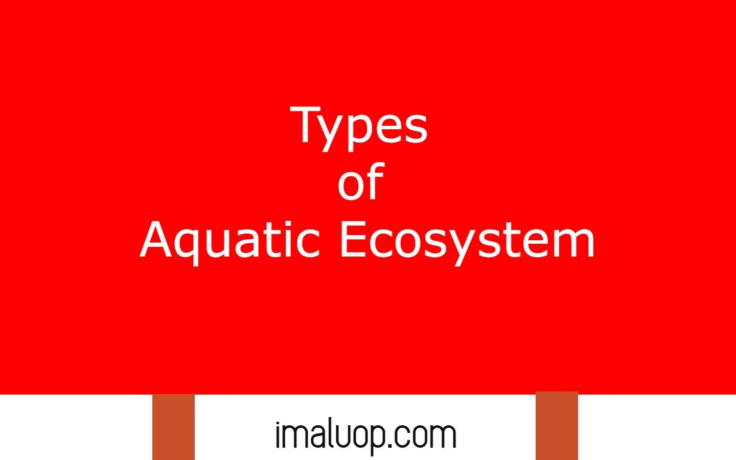 Types of Aquatic Ecosystem - Imaluop - IMALUOP